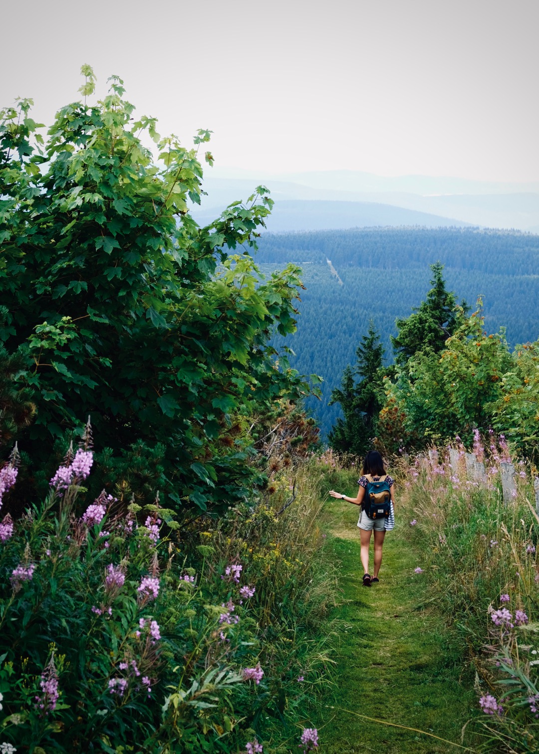 How I Spend Summers In Germany | The Tiny Wanderer